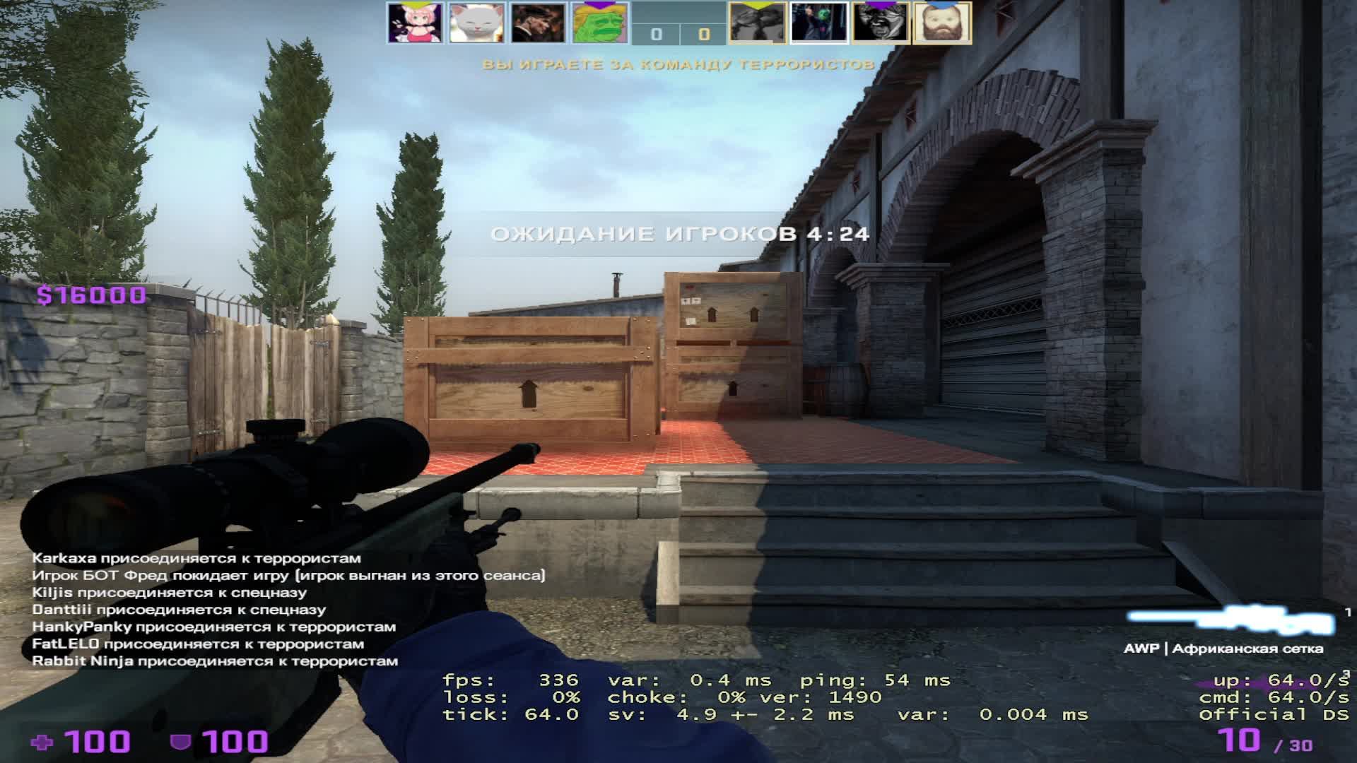 rabbit ninja live stream #31 CS:GO