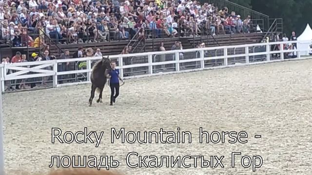 Парад пород - выпуск 3