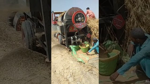 груз перегруз и почистить карму пакистан завод.mp4