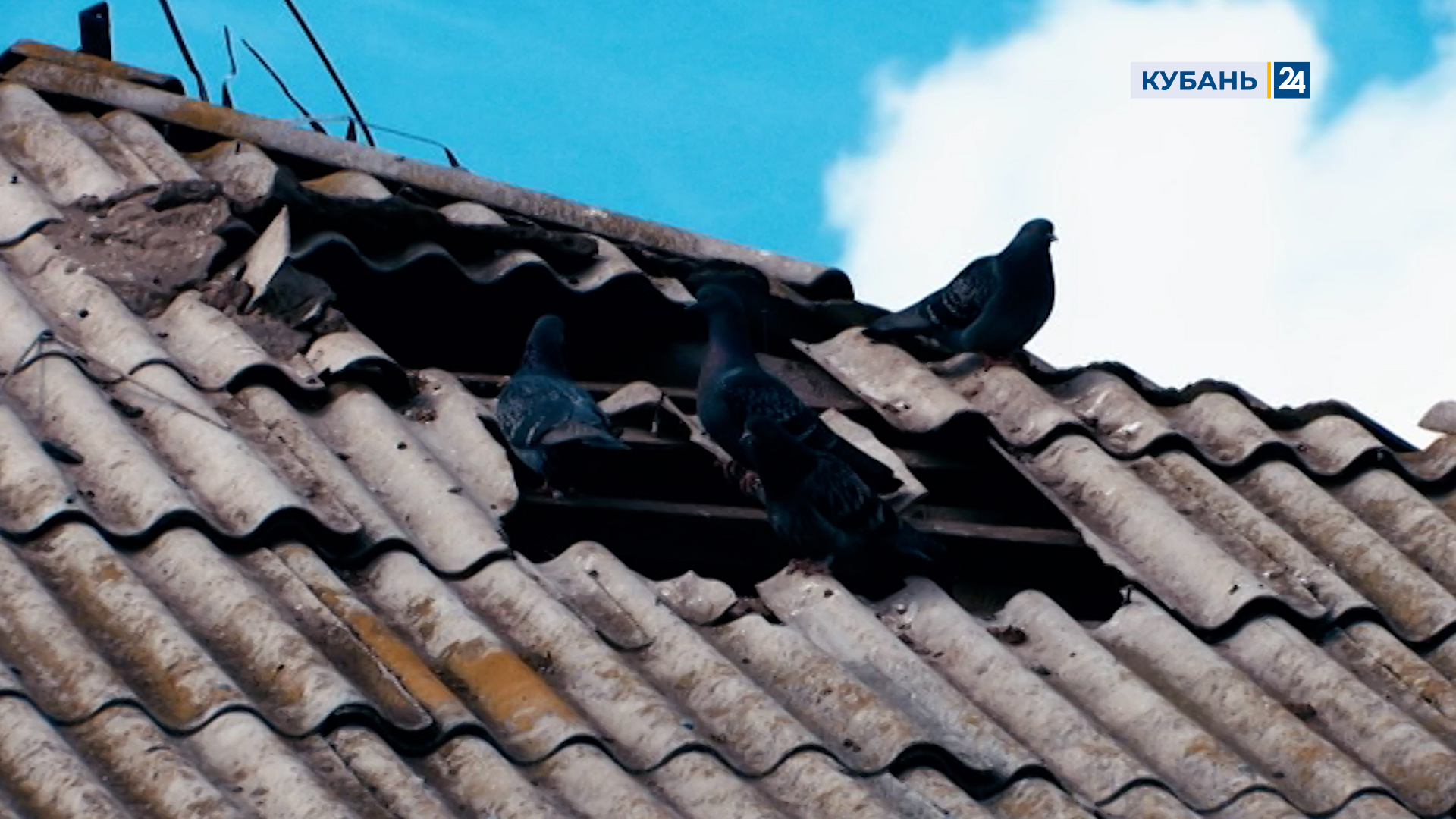 Аварийная крыша. Щербиновский | Горячая линия+ 22.04.2022