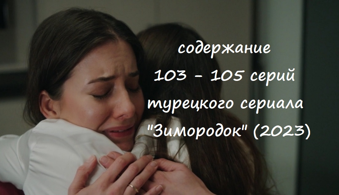 Содержание 103, 104 и 105 серий турецкого сериала "Зимородок" (РФ, 2023)