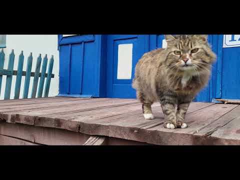 Осколки прошлого... Вдали от городов (Фатежский р-он)