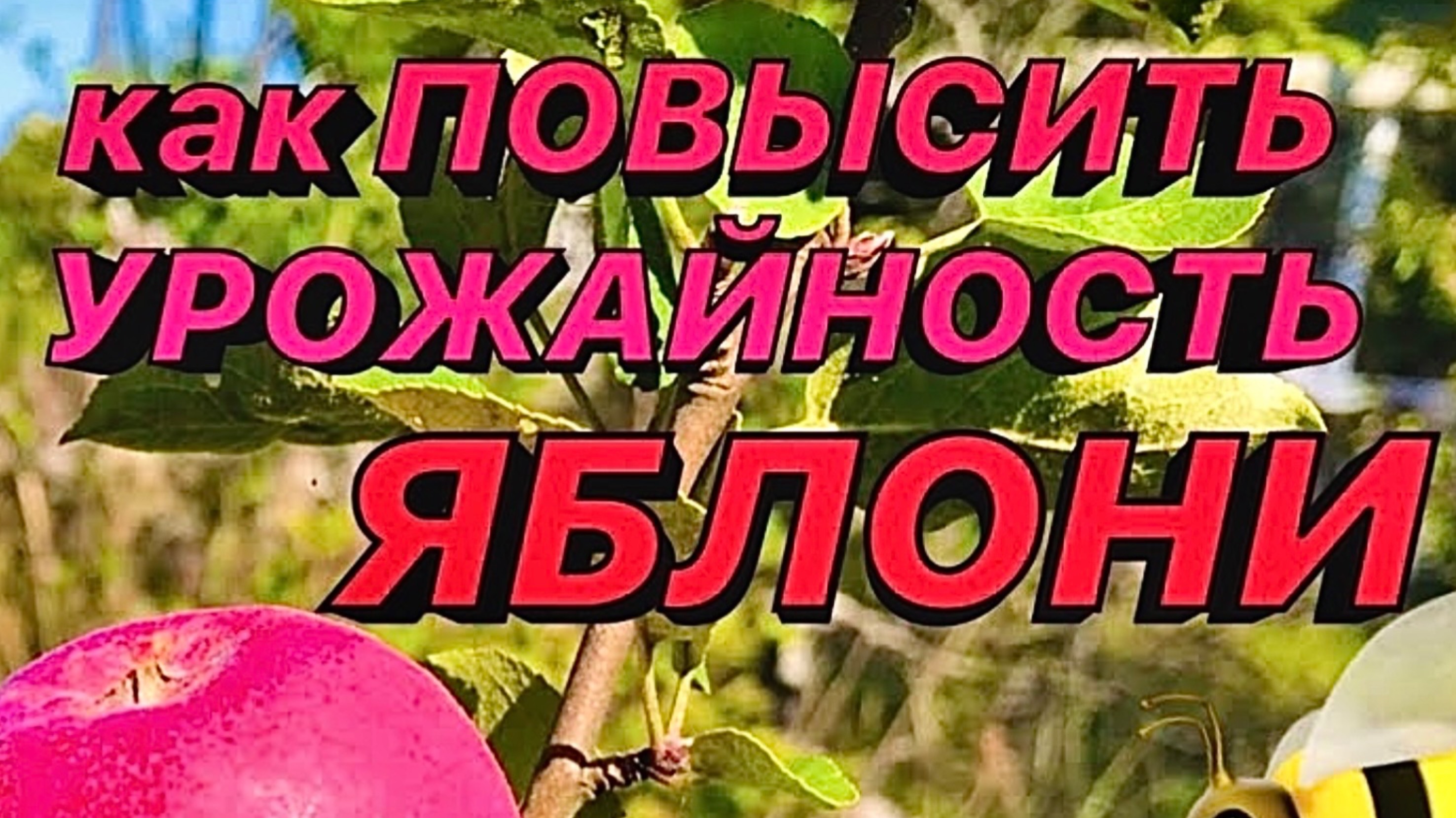 Как увеличить урожайность плодовых деревьев