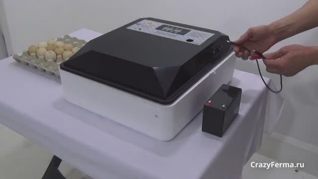 Инкубатор Гарант 64 - CrazyFerma