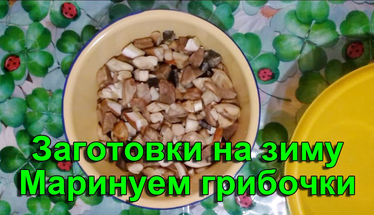 Заготовки на зиму. Маринуем грибочки