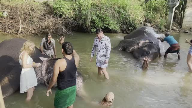Шри-Ланка 2022! Скала Пидерангала! Сигерия! Золотой храм Дамбулла!
