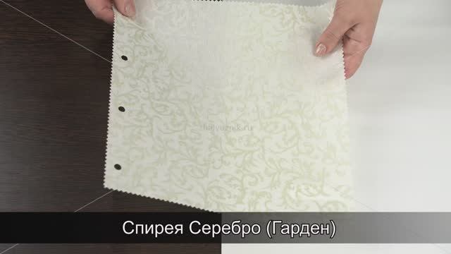 Спирея Серебро (Гарден)