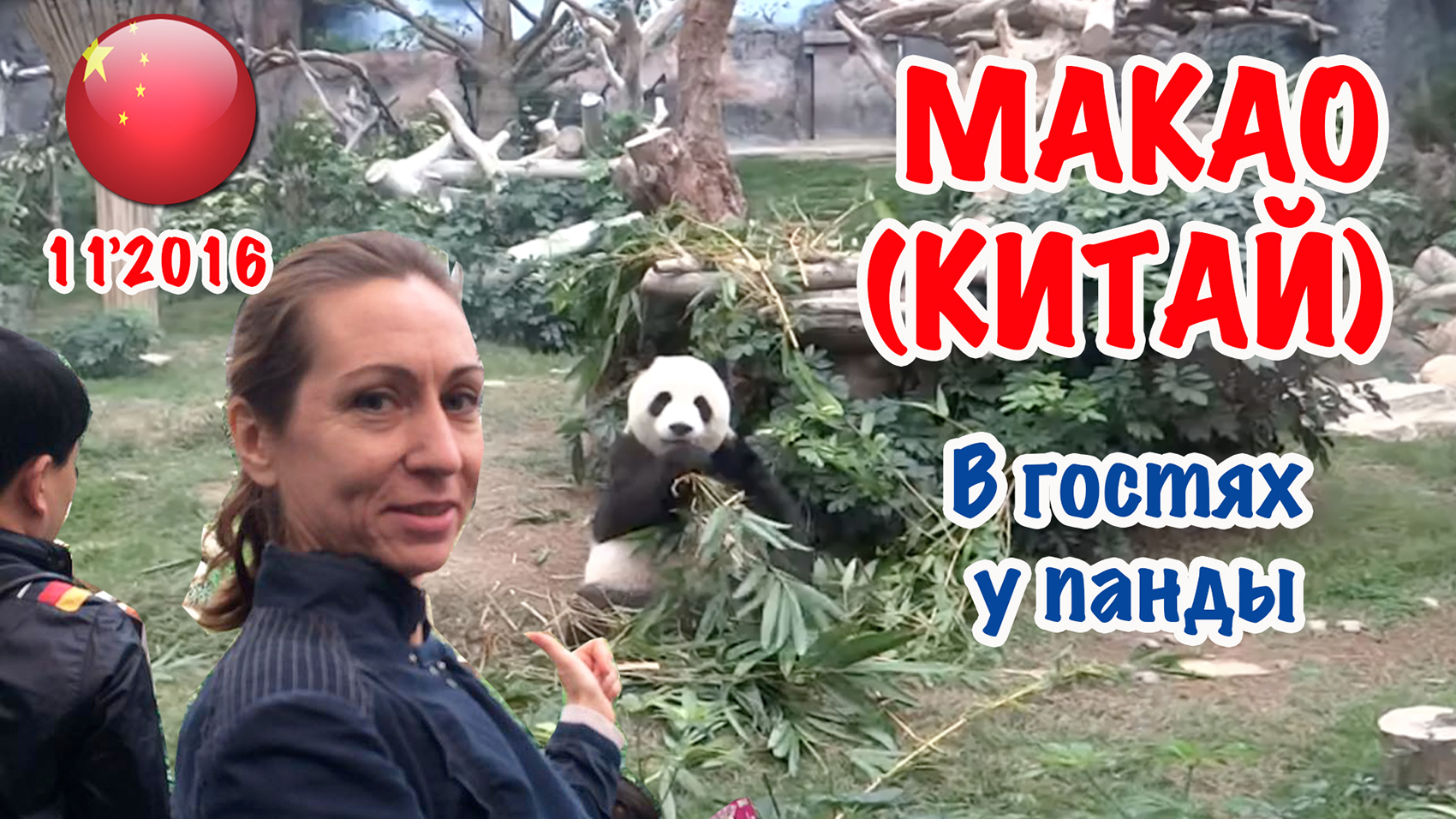 Макао, В гостях у панды. Ноябрь 2016 год