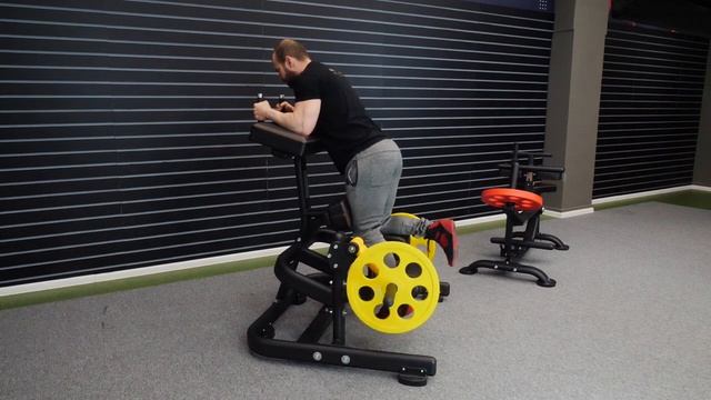 Обзор PL 1714 Сгибание ног стоя и PL 1719 Голень сидя от BRONZE GYM