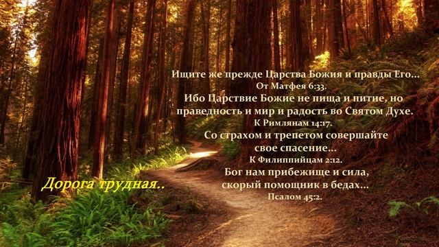 Дорога трудная, порой тернистая..