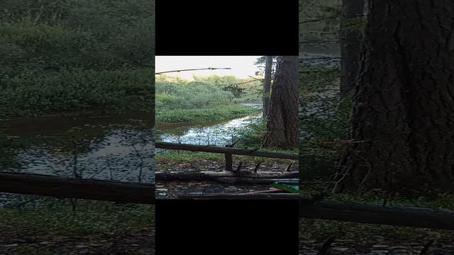 14 про мобильную связь