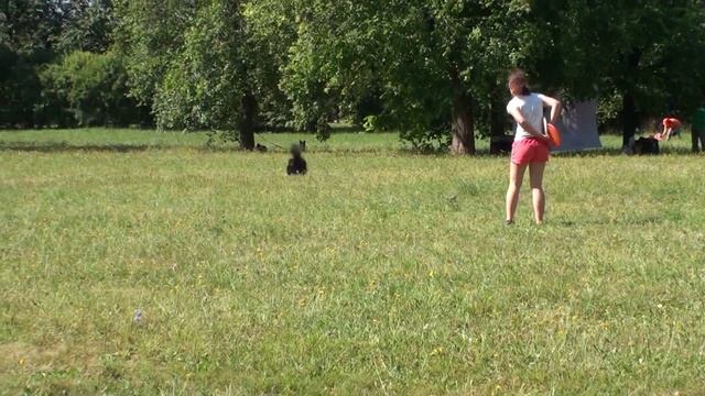 Фризби Фристайл Анастасия и Вэлс.mp4