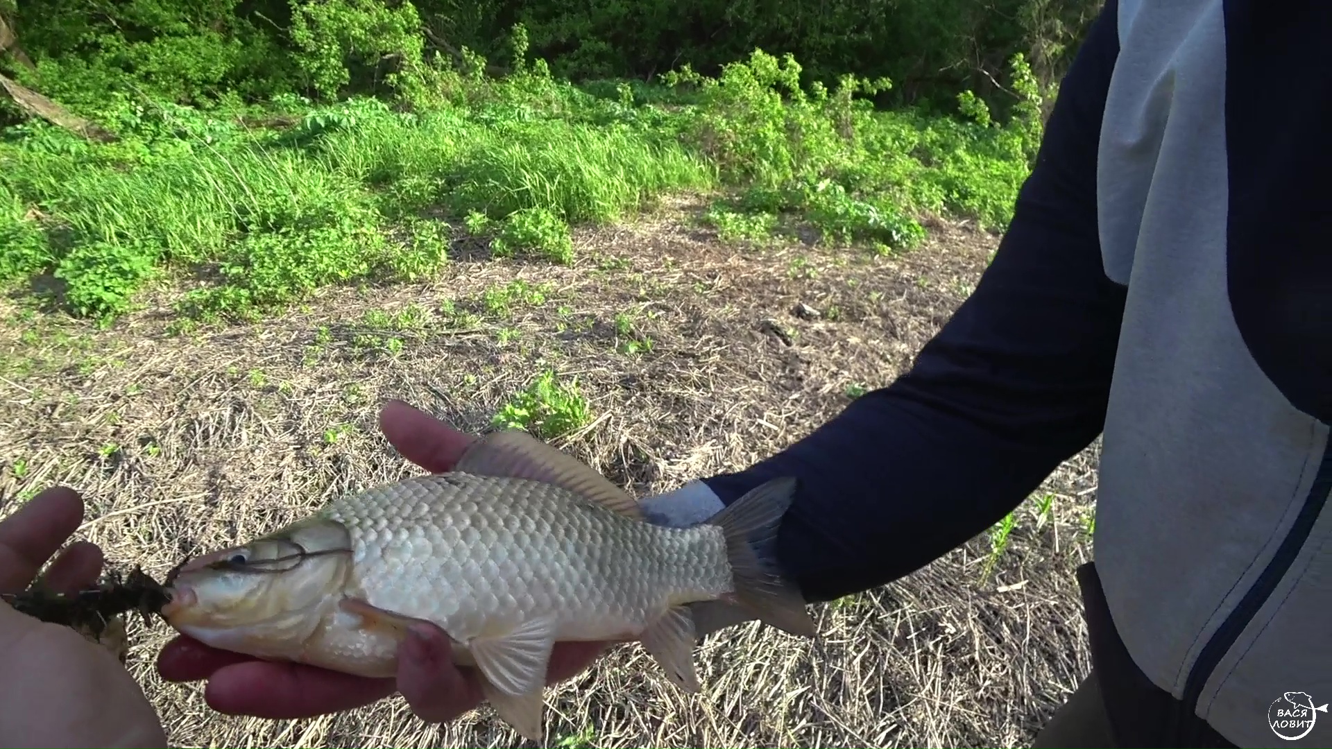 МАЙСКИЙ КАРАСЬ НА ДОНКИ р.Дон. 2022 (18.05.2022)