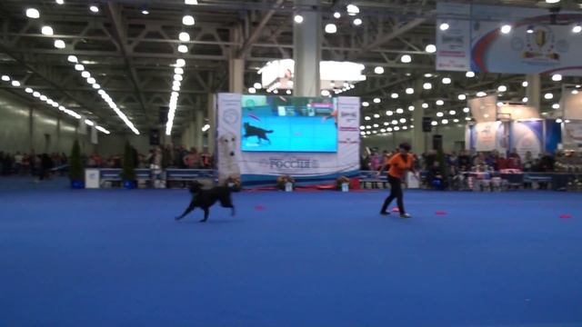 Показательные выступления Людмила и Ева