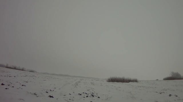 ЗАЯЧЬЯ БЛОКАДА. ОХОТА НА ЗАЙЦА (декабрь)-2016. Hunting 2016 for fur-bearin.mp4