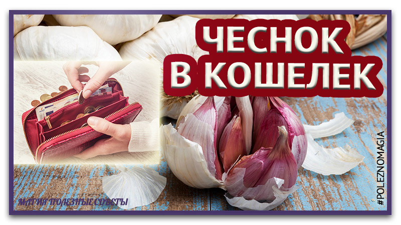 ЧЕСНОК ПРИТЯГИВАЕТ ДЕНЬГИ .Положи шелуху чеснока в кошелек СВОЙСТВА ЧЕСНОКА СИЛЬНЫЙ ОБЕРЕГ.