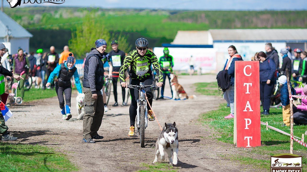 Соревнования по Ездовому Спорту "В моих лугах"