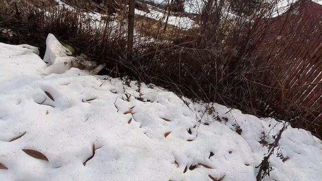 Дача. 2 апреля 2023 года.