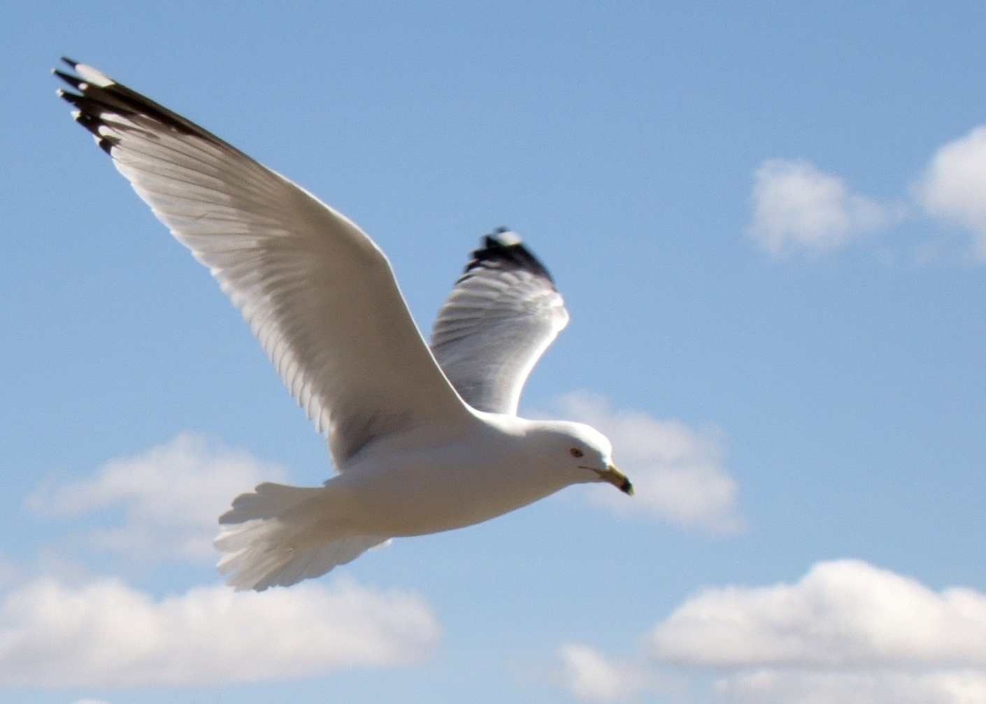 В честь имени! Лариса, Ларочка, Лора, Лара, Ларисочка… Стихи.