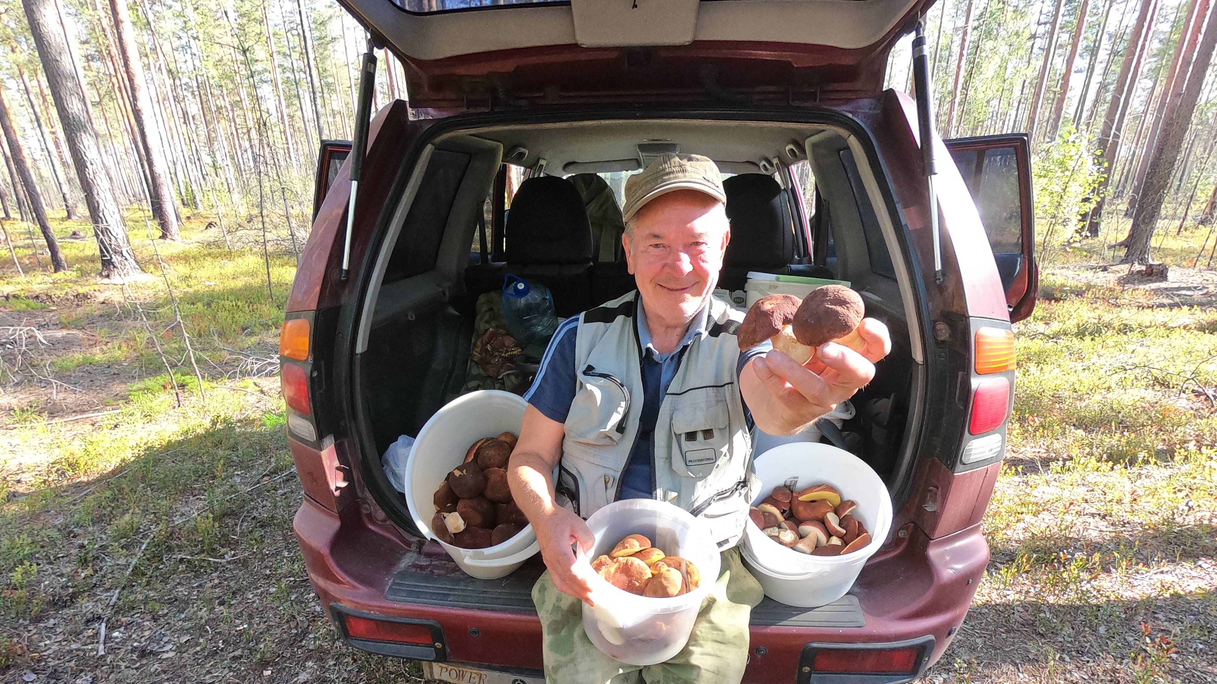 Сосновый бор не перестаёт удивлять красивыми Боровиками. Отличная природа и отдых. Красота.
