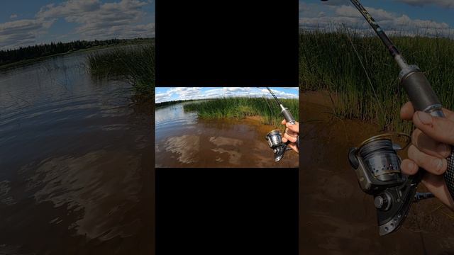 в этой открытой местности