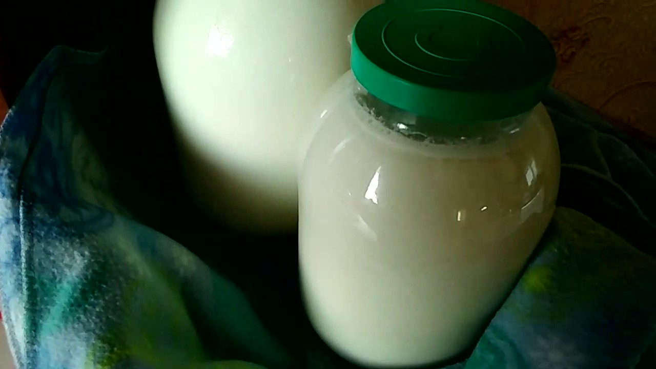 Кефир из аптечной закваски это просто. Домашний рецепт