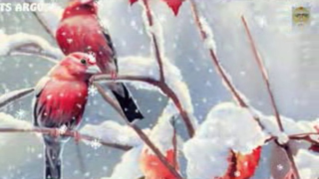 98_Ярко на белом алеют алые кисти рябин