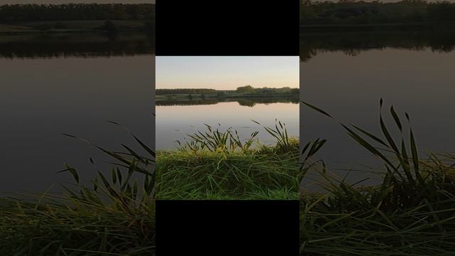 Приехали на новый пруд под конец сезона