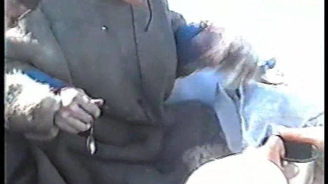 Охота на гусей на Севере.