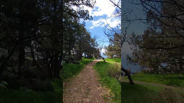 Гора Кошка. Это очень красивое место.Рядом продаются ялтинский лук