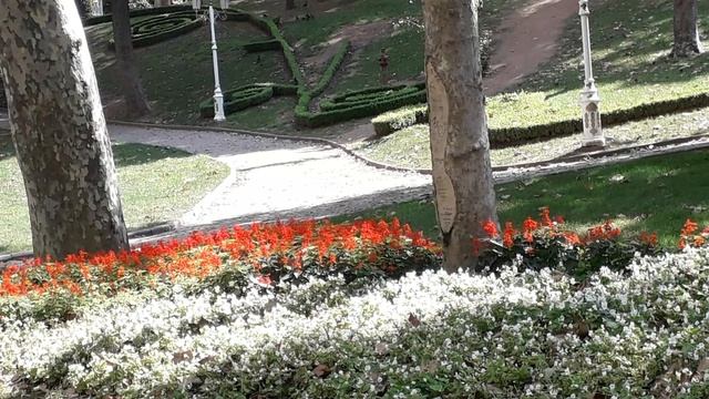 Стамбул колоритный, величественный, многолюдный город. Парк Гюльхане (Gülhane Parkı)