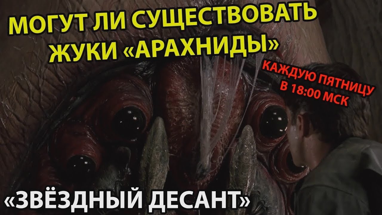 Могут ли существовать "Арахниды" - жуки из фильма “Звёздный десант “? С научной точки зрения
