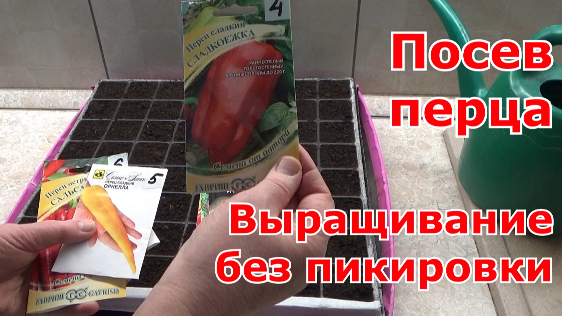 Посев перца на рассаду в кассеты. Выращивание перца без пикировки. Чем обработать семена.