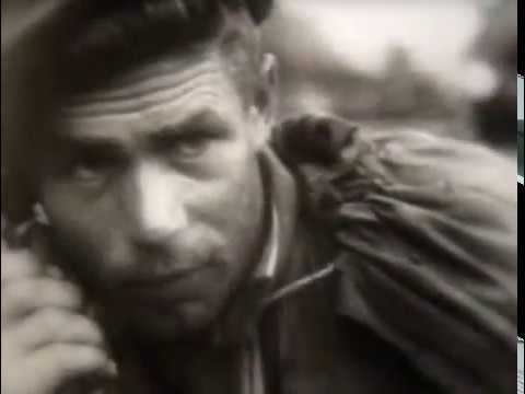 17. Велика Отечественная Война.  
Освобождение Польши