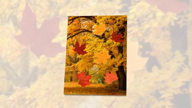 осень 2015 года