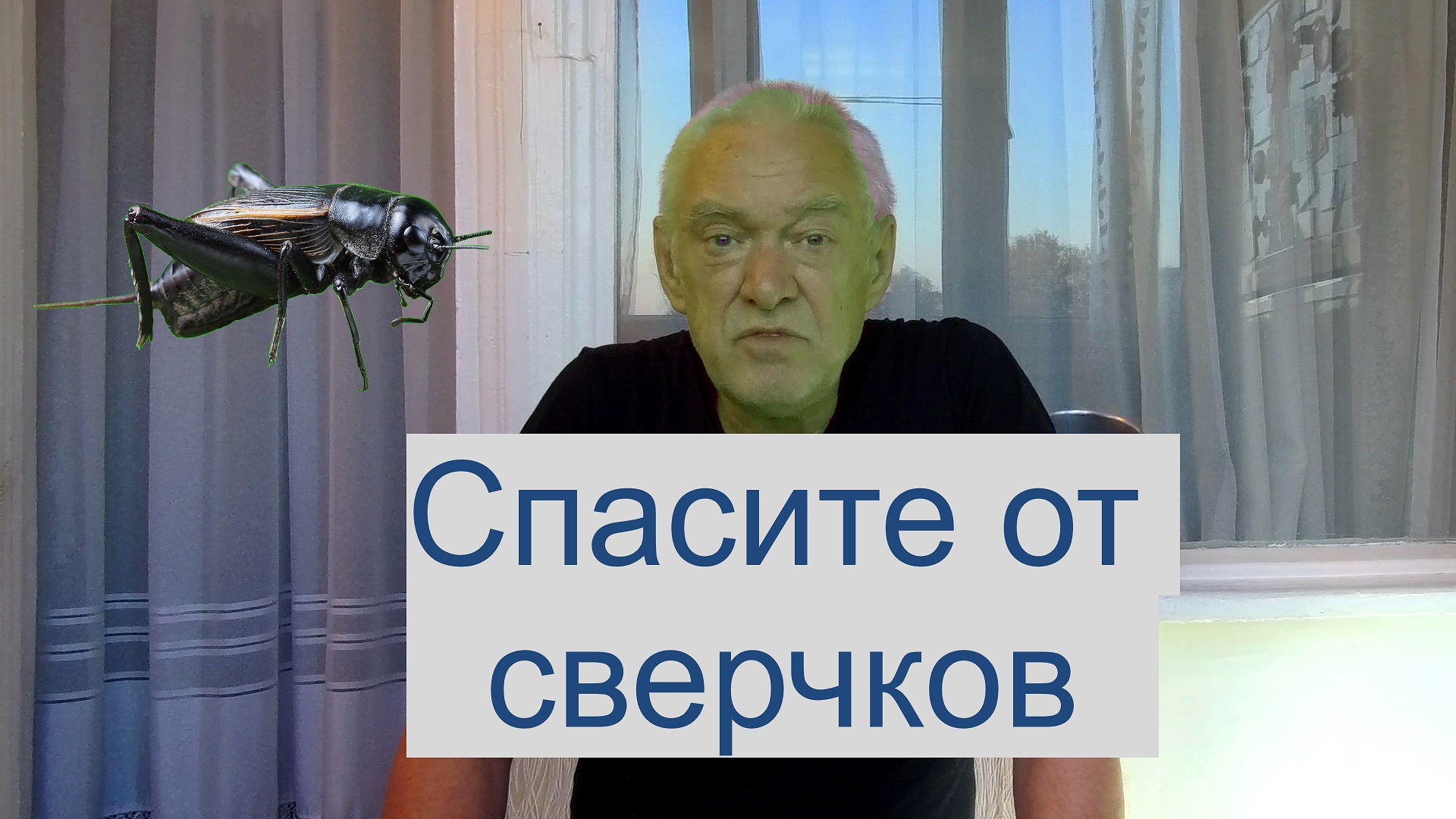 Сверчки нападают - ночные разбойники