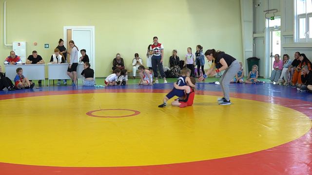 Борьба маленьких красавиц!