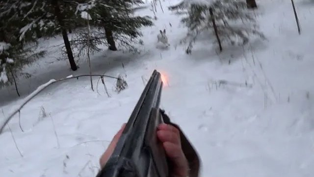 Как так СМАЗАЛ , думал Я... Охота на ЗАЙЦА! Сезон 2021-2022г