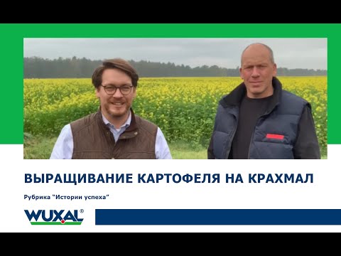 Выращивание картофеля на крахмал/Технология выращивания картофеля