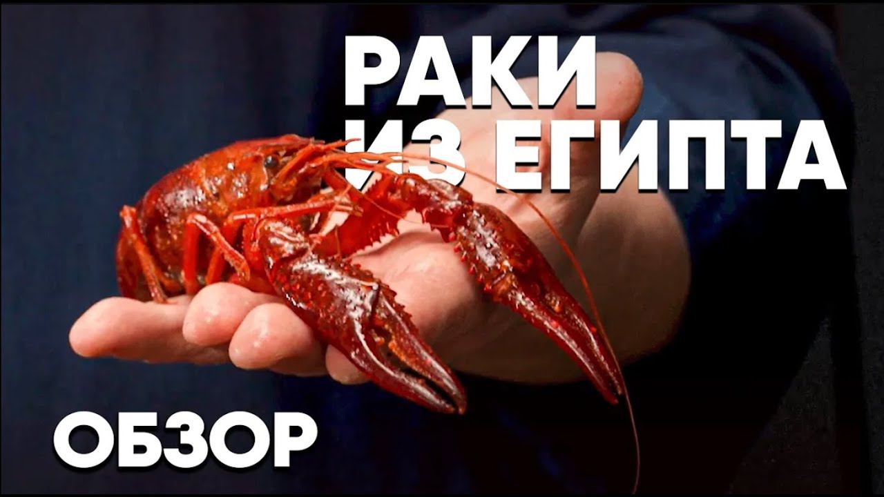 Как выбирать раков? ОБЗОР. Раки из Египта. Обзор морепродуктов