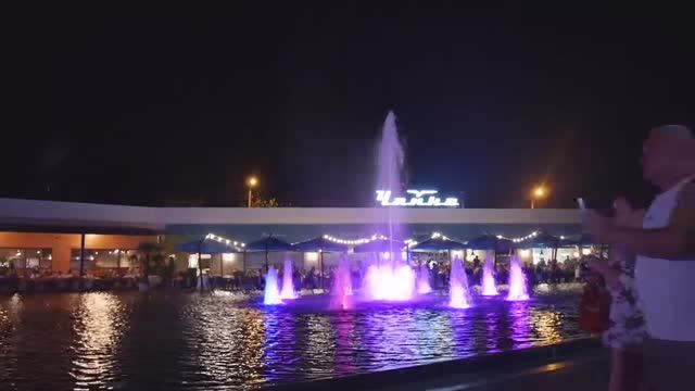 20160726 Фонтан в одесской «Аркадии» без стабилизации в Adobe Pemiere Elements 2018