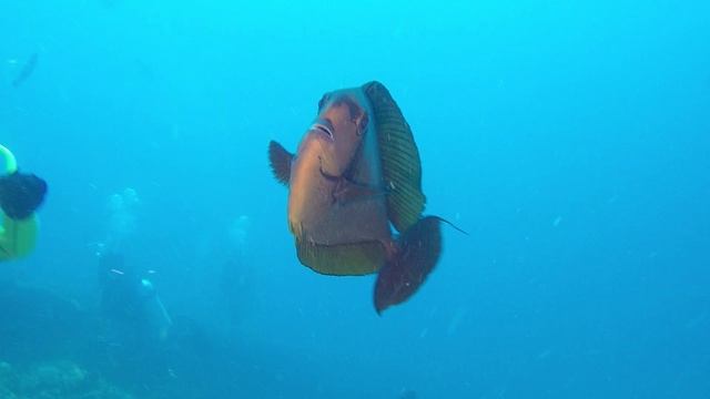 Конкурент "Хирург".mp4