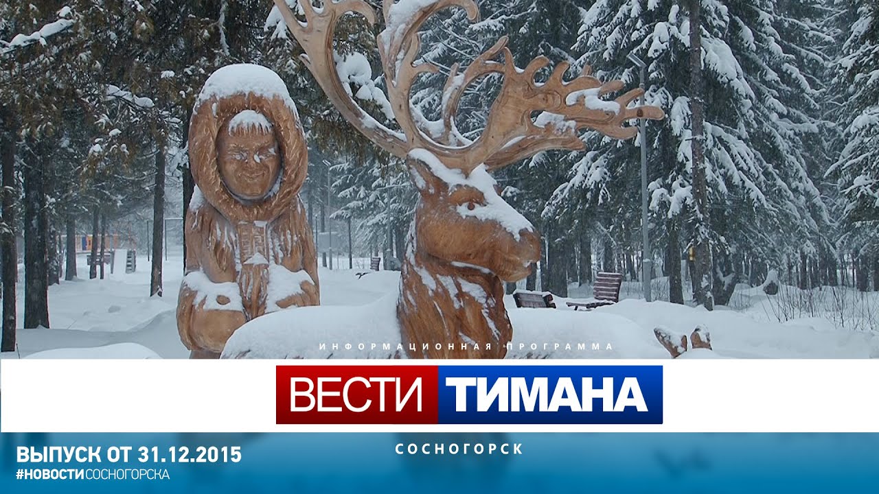 Вести Тимана. Сосногорск | 31.12.2015