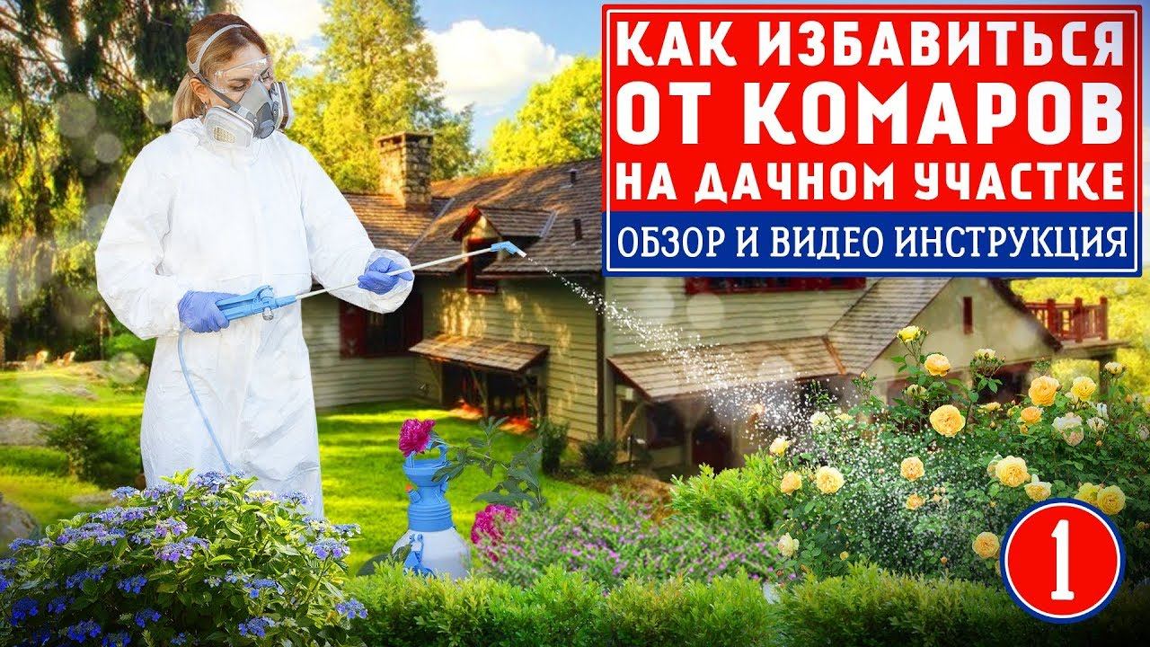 Средство от комаров. Как избавиться от комаров на участке