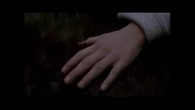 Если он позовёт (Татьяна Мехнина) Читает Андрей Зверев