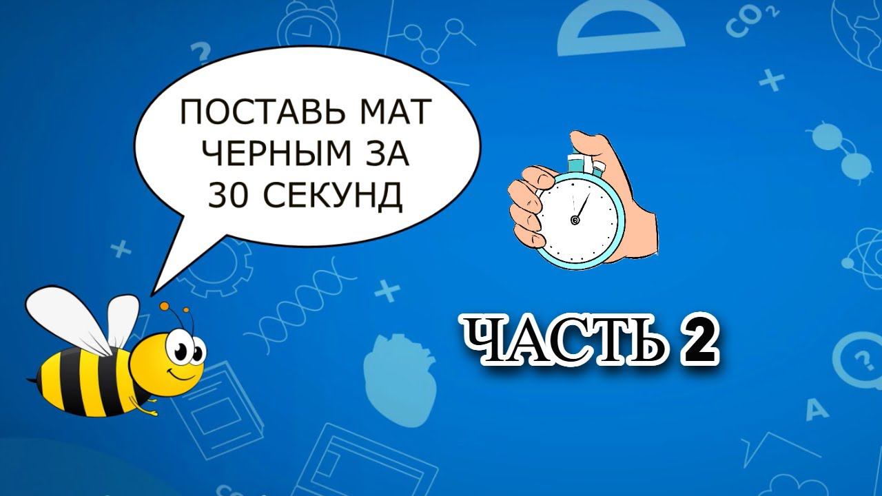 МАТ В 1 ХОД#2. ЗАДАЧКИ ОТ ПЧЕЛКИ ЖУ-ЖУ. Тренер Арно.