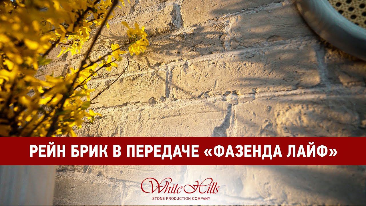 Рейн Брик в передаче "Фазенда Лайф"