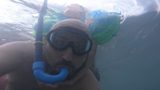 Подводный мир Лермонтово