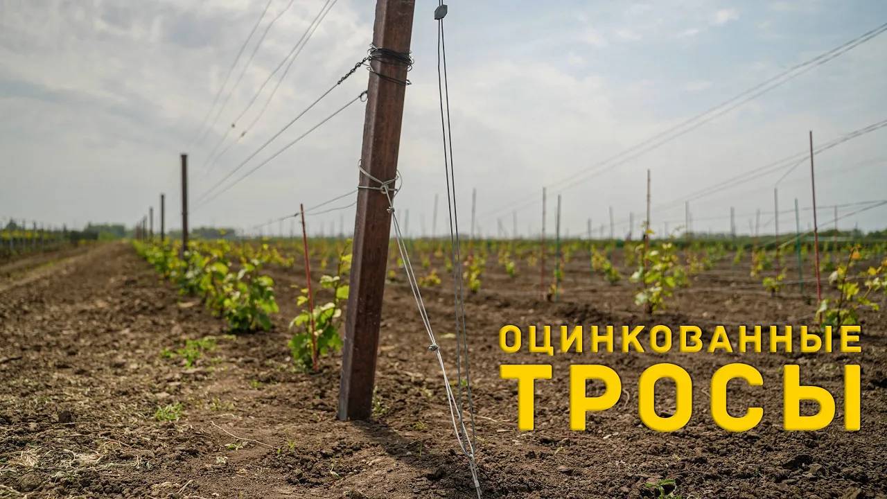 Оцинкованные тросы 3мм