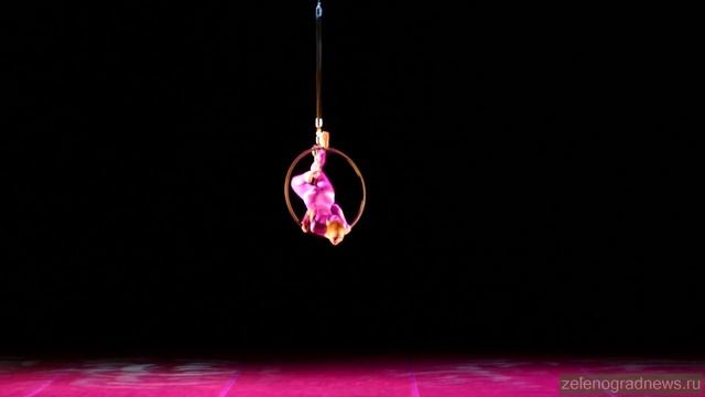 Отчетный концерт эстрадно-цирковой студии «Цирк сестер Фоминых»